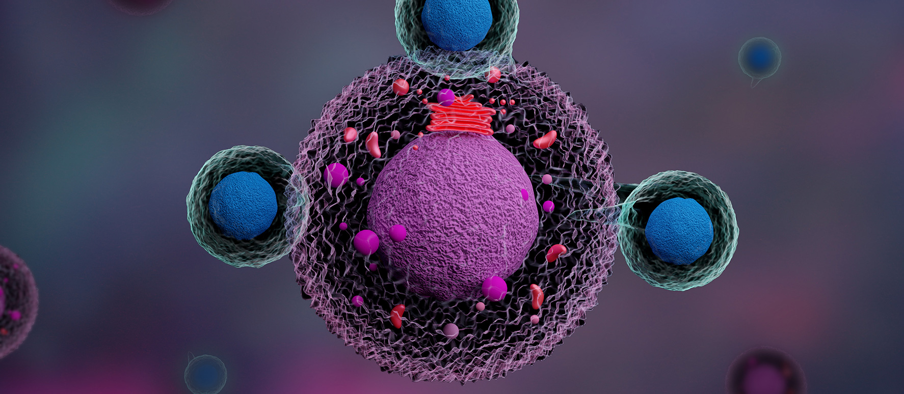 Axi-cel CAR T cell therapy shows enhanced responses and continued ...