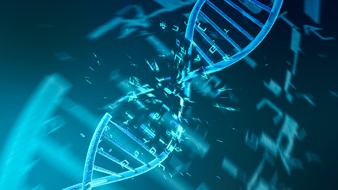 Therapies targeting DNA damage response show promising antitumor ...