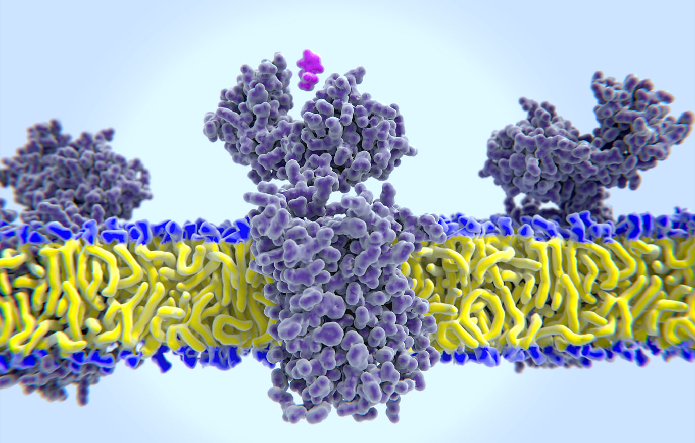 Antihistamines may improve immunotherapy responses, study finds | UT MD ...