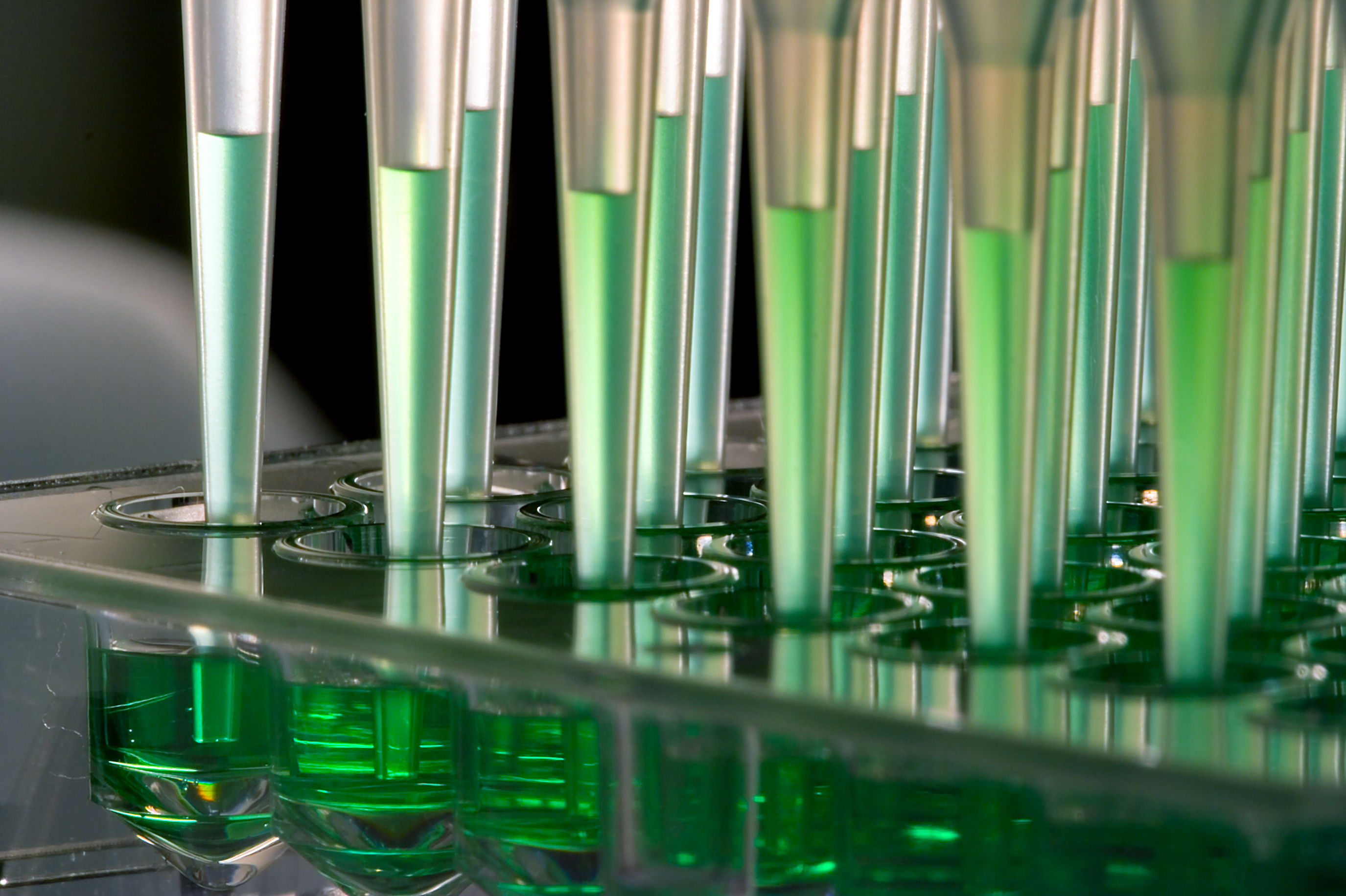 Focus Fund and MD Anderson launch investment fund for cancer therapies ...