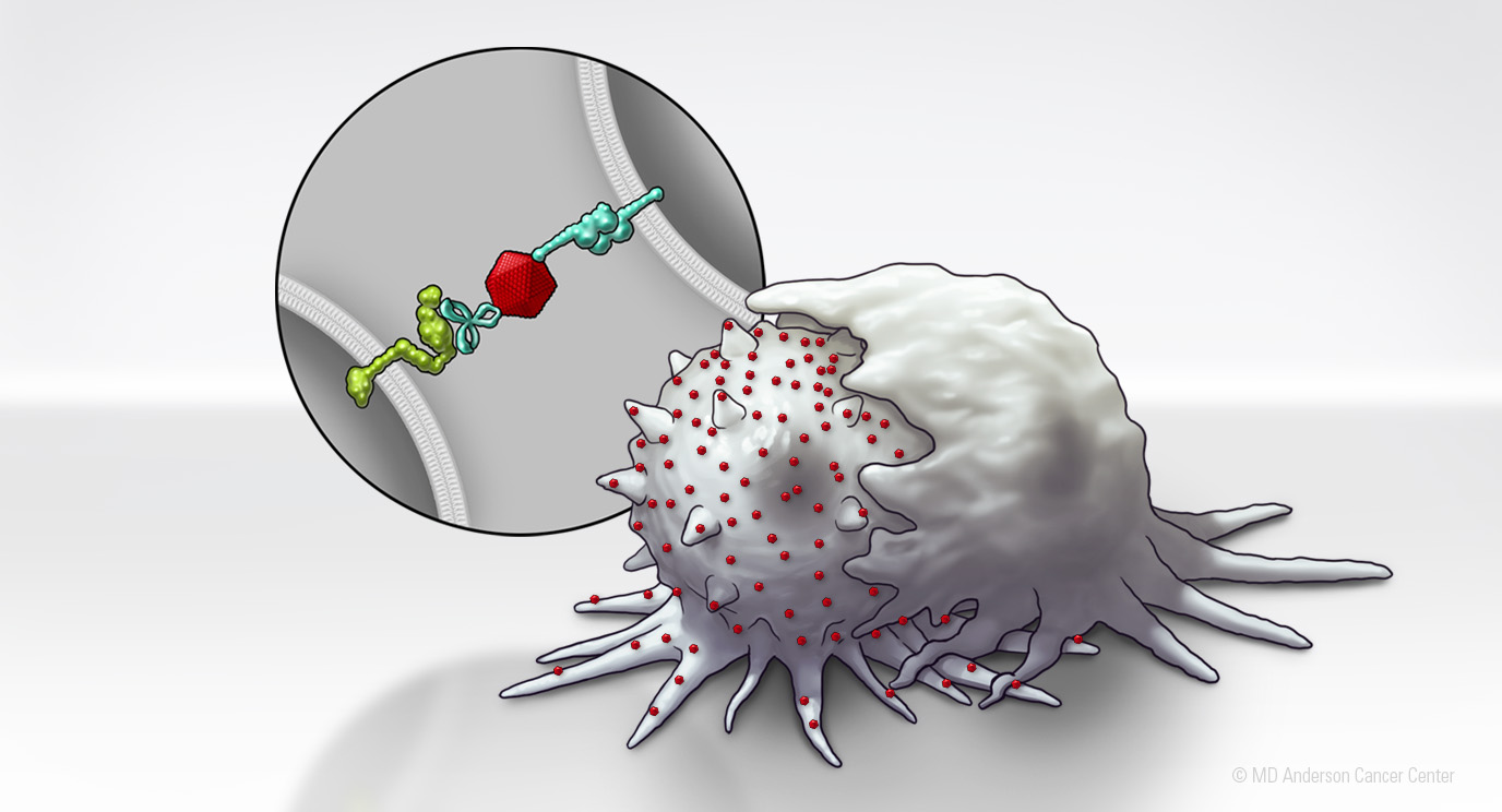 Nanotechnology platform sensitizes cancer cells to immunotherapy | MD ...