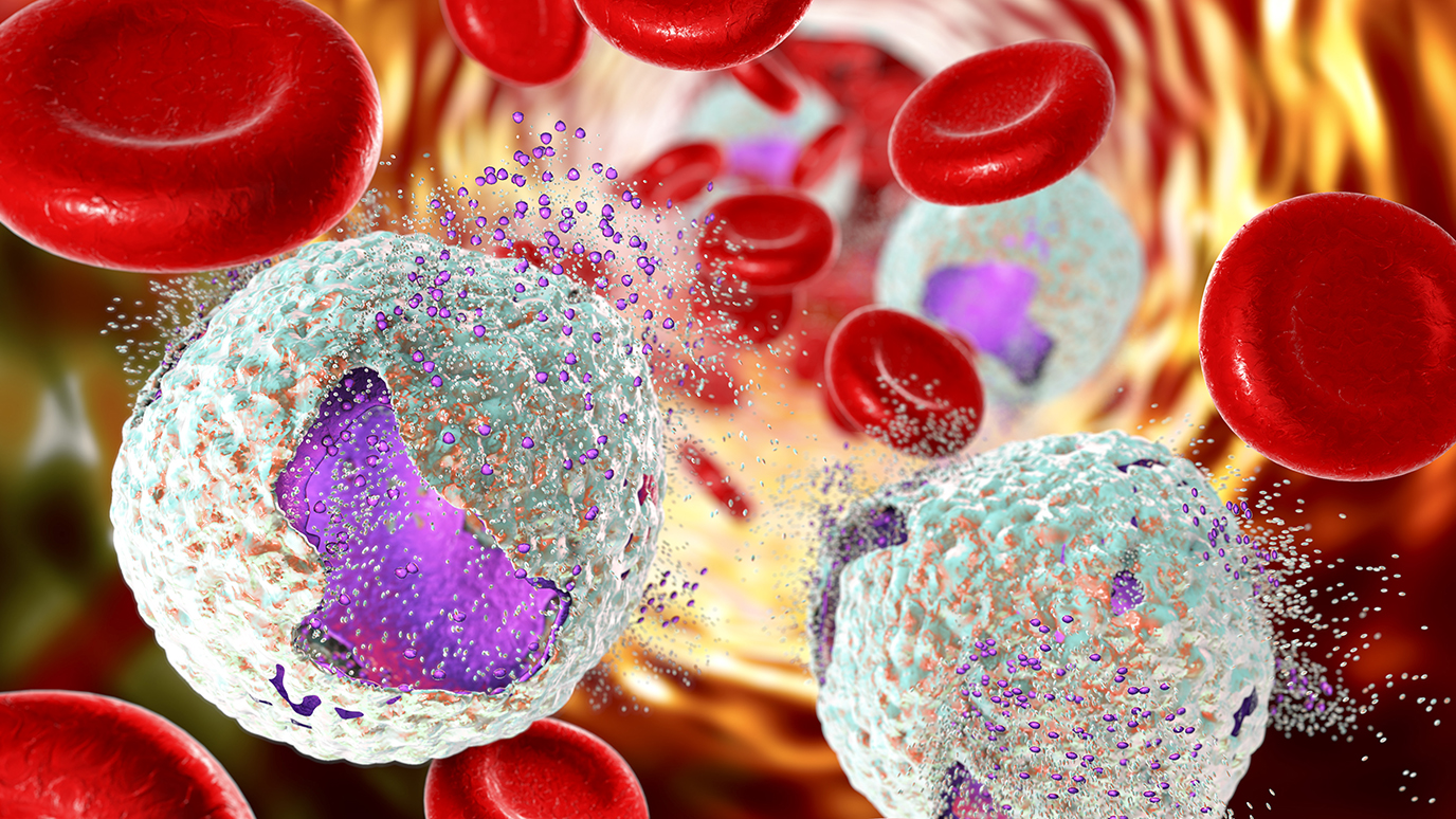 Patients with acute lymphoblastic leukemia see high rates of response ...