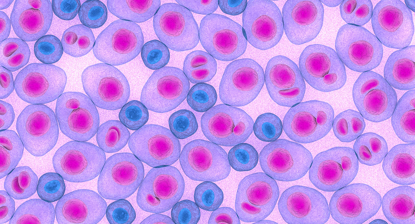 MD Anderson Research Highlights for June 5, 2024 | UT MD Anderson