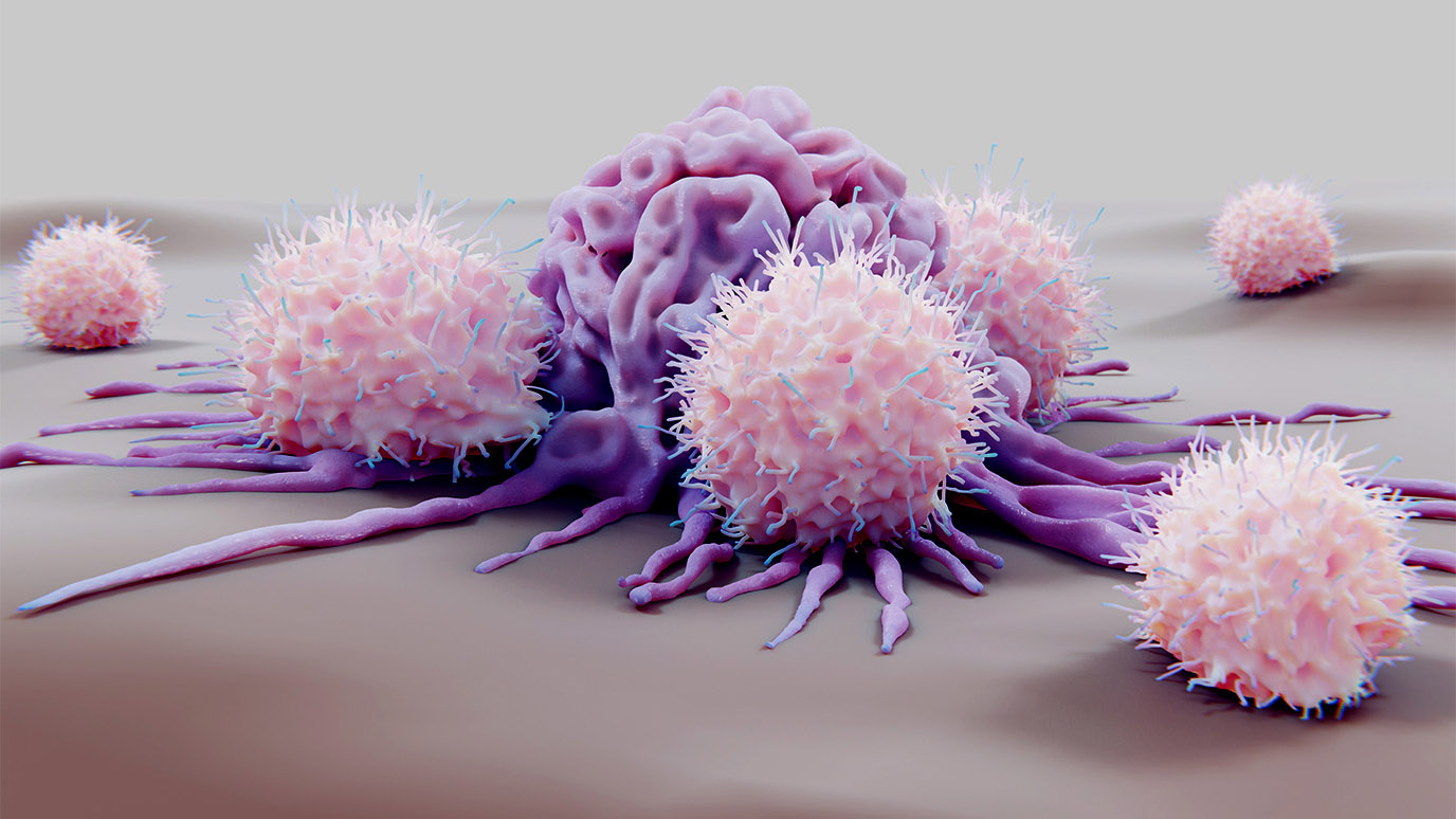 MD Anderson and Replay launch company focused on TCR NK cell therapies | MD Anderson Cancer Center