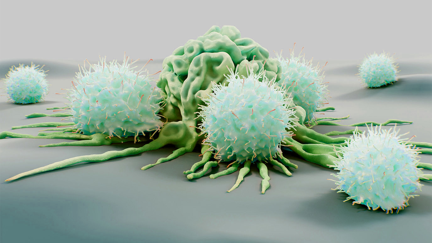 Novel PRAME-targeted TCR NK cell therapy receives FDA IND clearance for hematologic cancers | MD ...