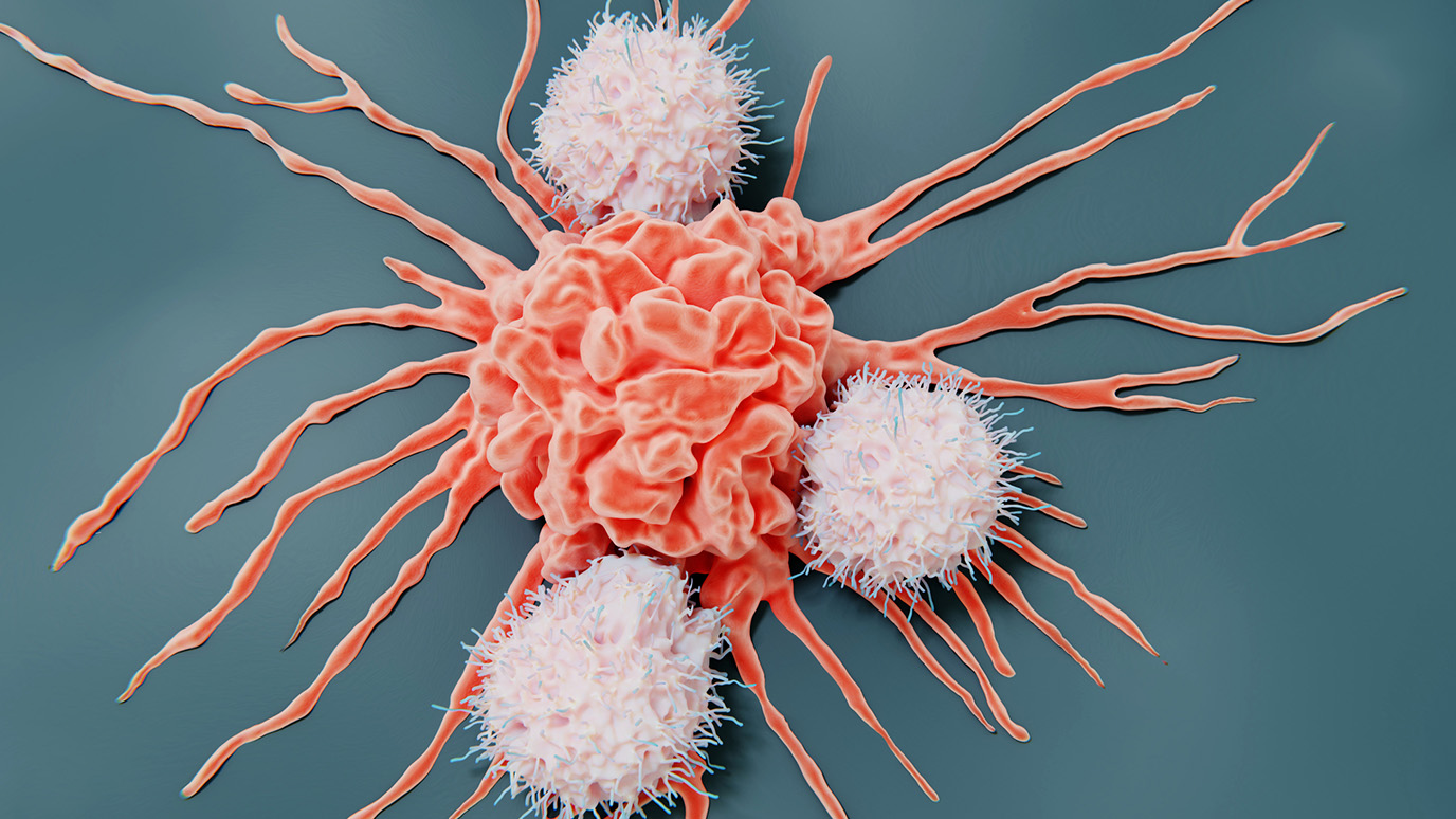 Novel TCR NK cell therapy for sarcoma receives IND clearance from FDA | MD Anderson Cancer Center