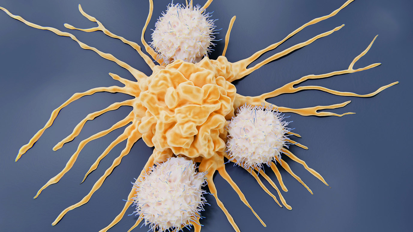 MD Anderson and Replay announce FDA clearance of IND application for first-in-class TCR NK cell ...