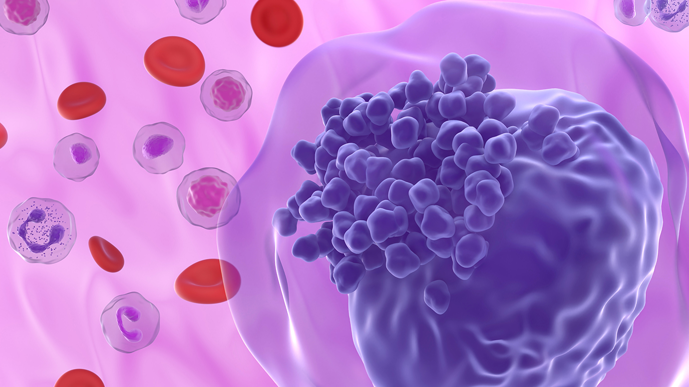 Activating leukemia stem cells makes chemotherapy more effective in AML ...