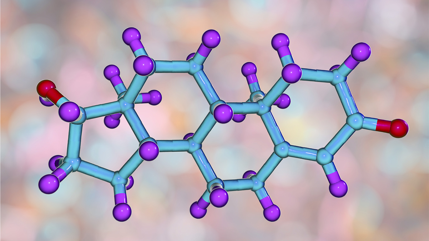 Androgen receptor signaling contributes to targeted therapy resistance ...