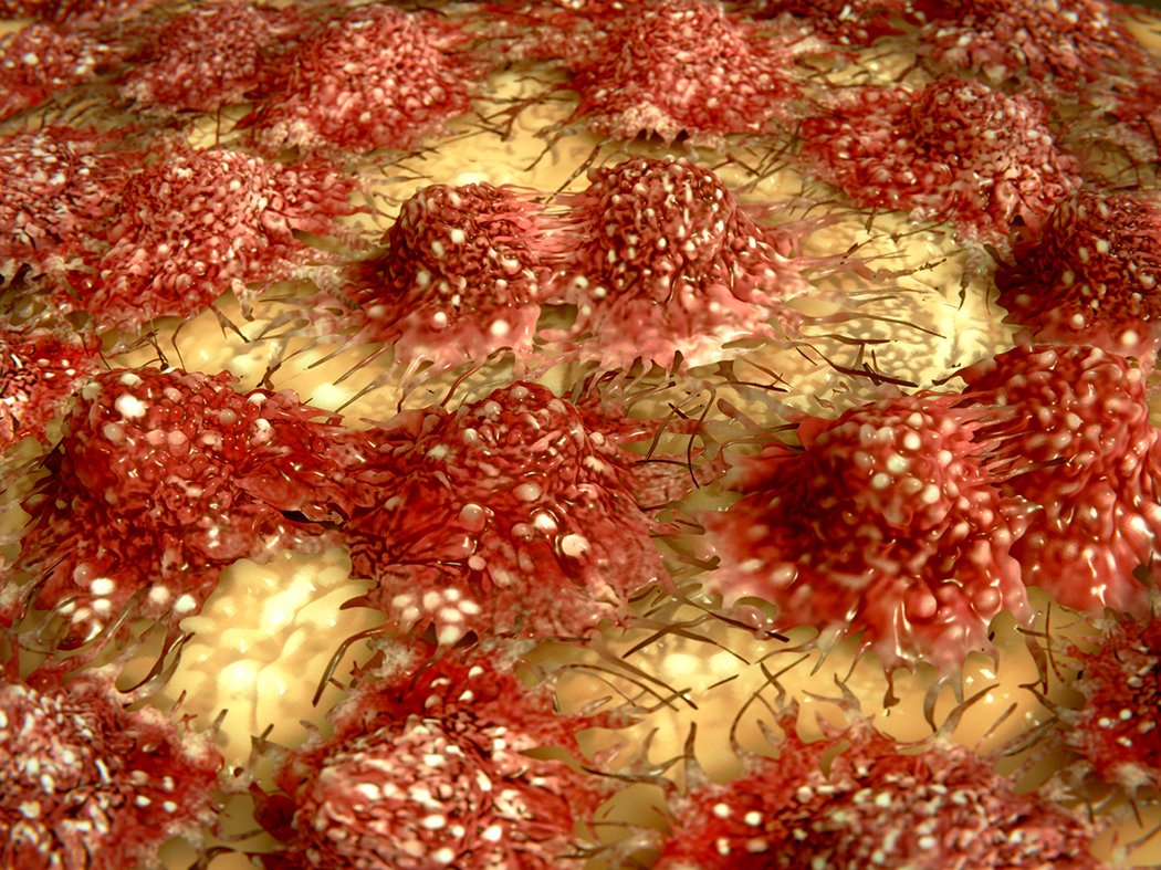 Large study profiles cancer protein changes after drug treatments | MD ...