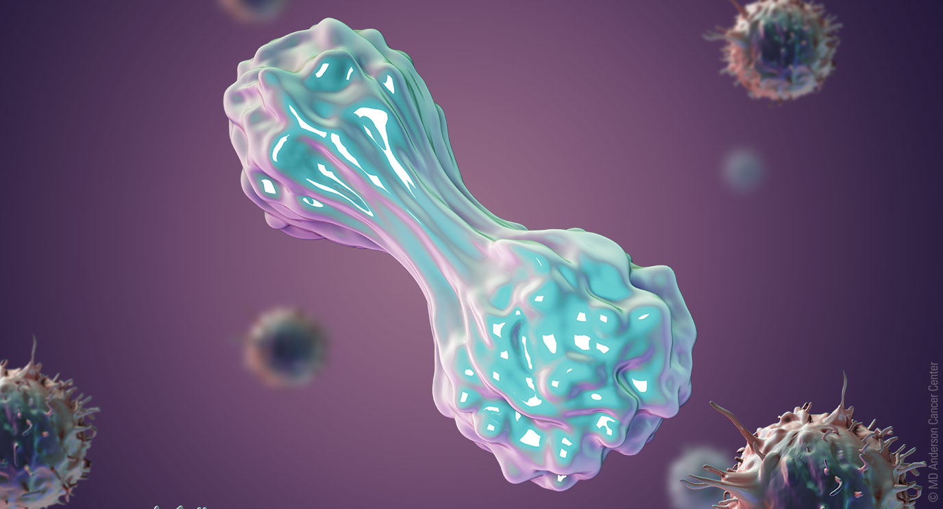 Immunology study finds protein critical to T cell metabolism and ...