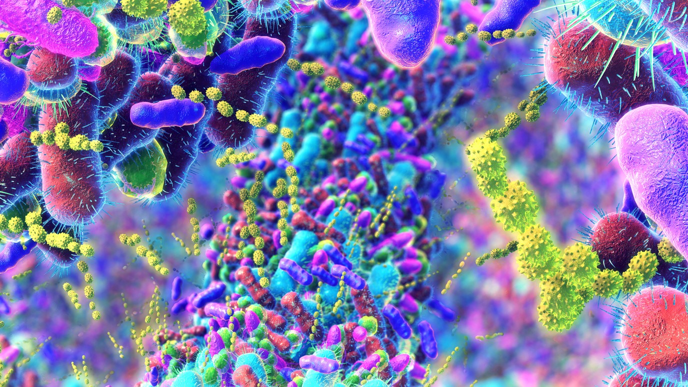 Higher bacteria levels inside tumors can promote immunotherapy ...