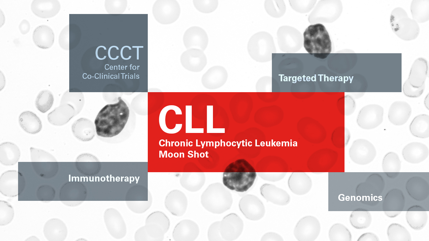 People Who Have Cll