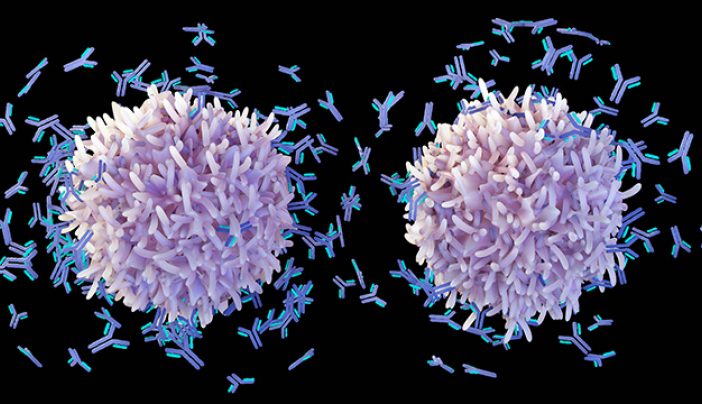 4 notable presentations from ASH 2025 | MD Anderson Cancer Center