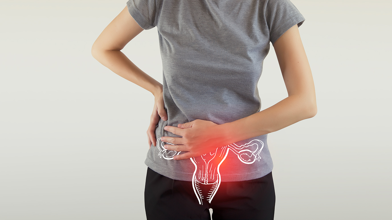 Ovary And Appendix Location